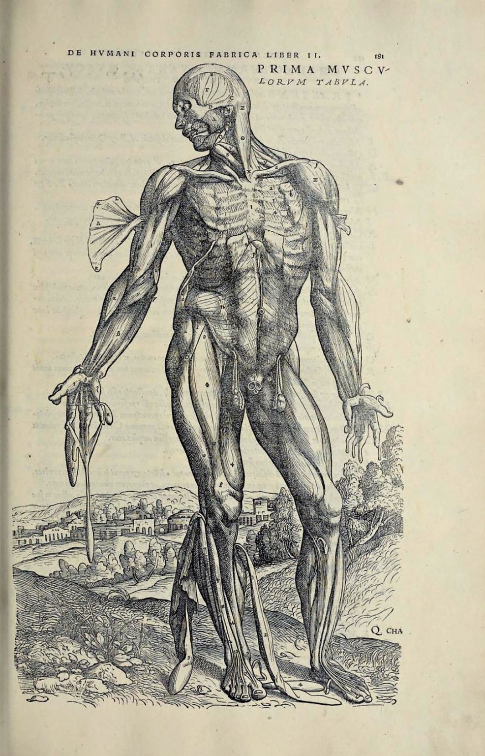 The Art of Anatomy: History of Anatomical Illustration
